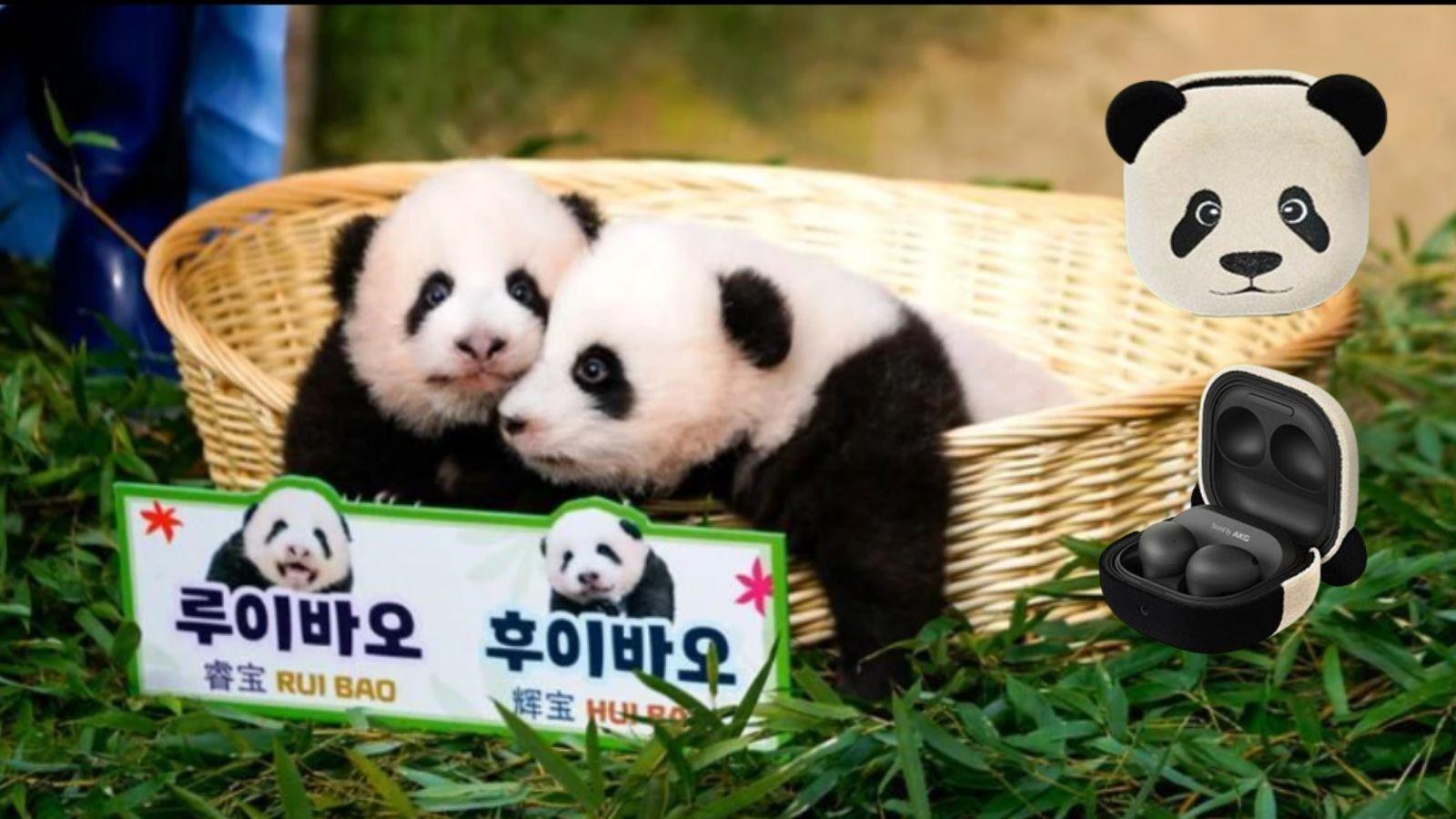 Samsung'dan Panda Sevenlere Özel Sürpriz: 'Twin Bao'